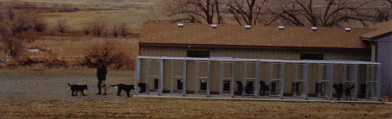 Boarding - Thunder Ridge Kennels - Dog Boarding Billings
